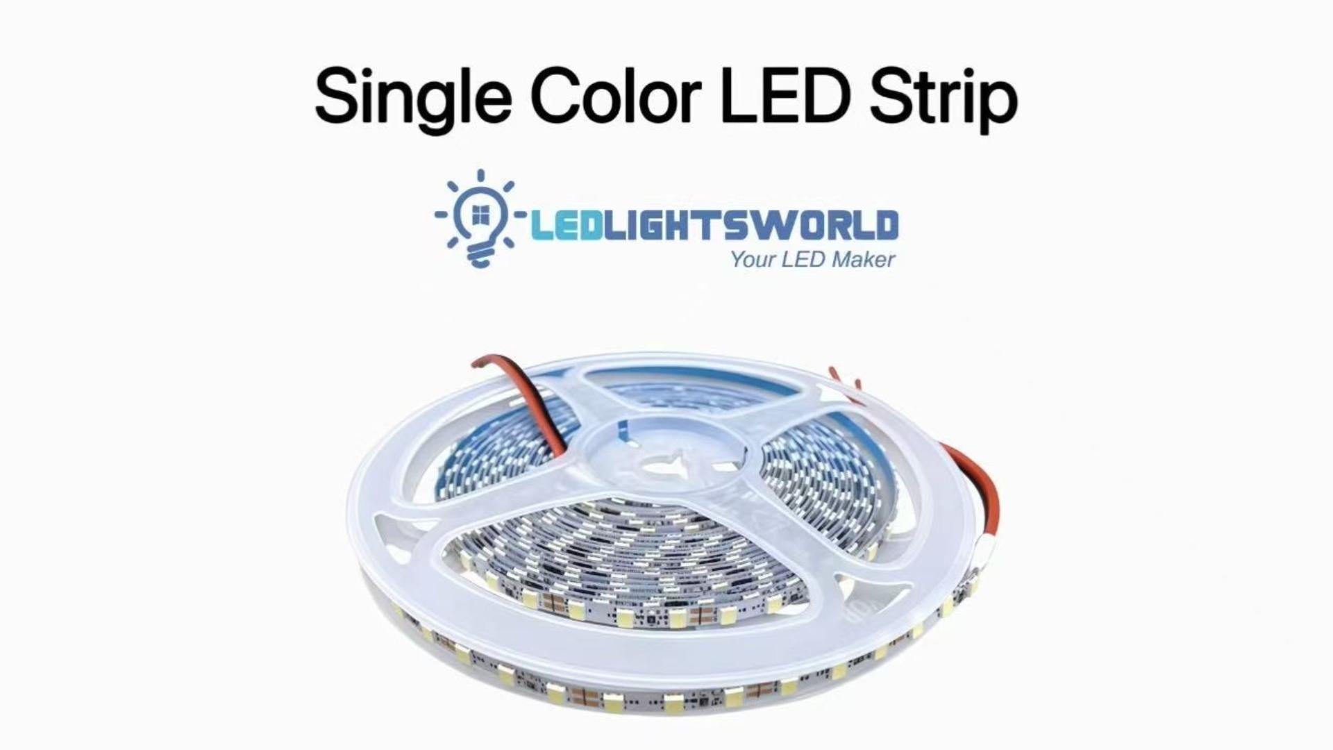 SMD2835 6000K LED Strip Light 120 LEDs/m – Slim 12V Lighting Demo | LE