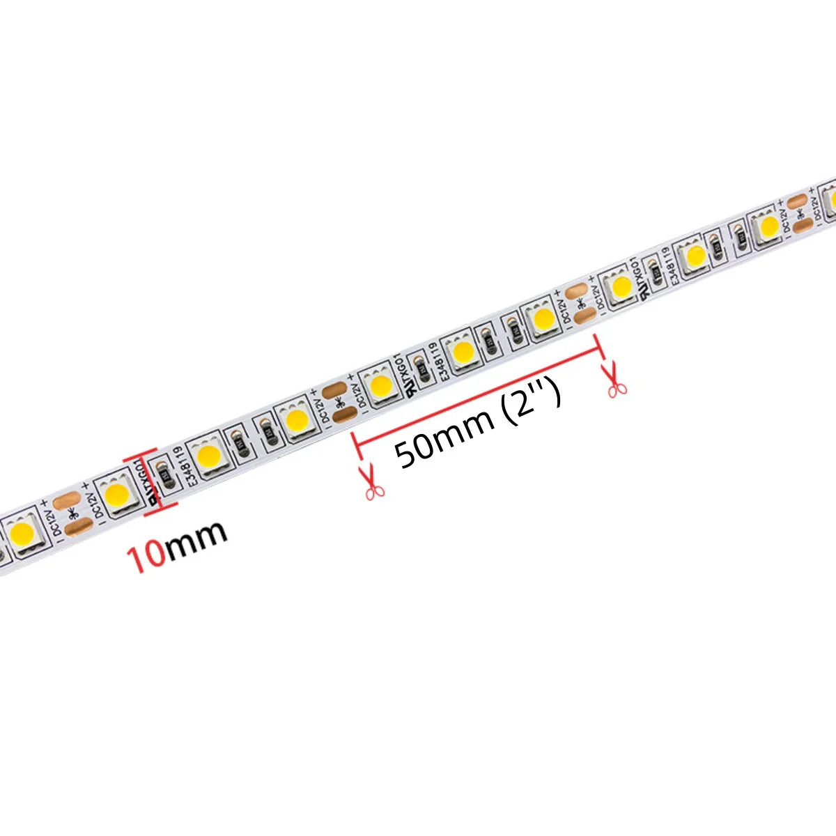 SMD5050 Single Color LED Strip Light – DC 24V | 60 LEDs/m | 10mm PCB